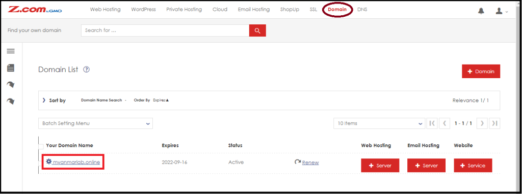 How to Change the Name Server (NS) of a domain in Z.com? – Support Desk