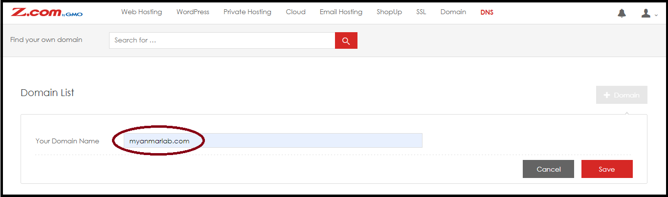 How To Add DNS Record For a Domain? – Support Desk