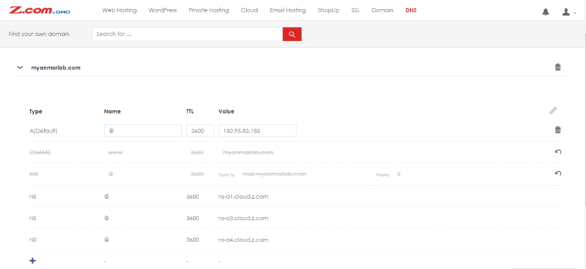 How To Add DNS Record For a Domain? – Support Desk
