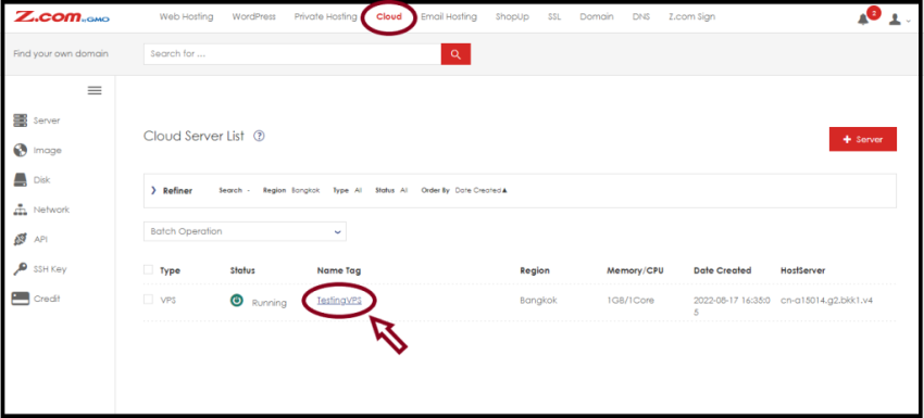 How To Delete The Cloud VPS Server? – Support Desk